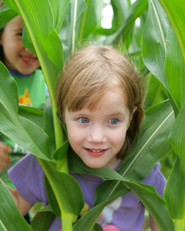Fun in the corn field stock image. Image of girl, stalk - 5527501