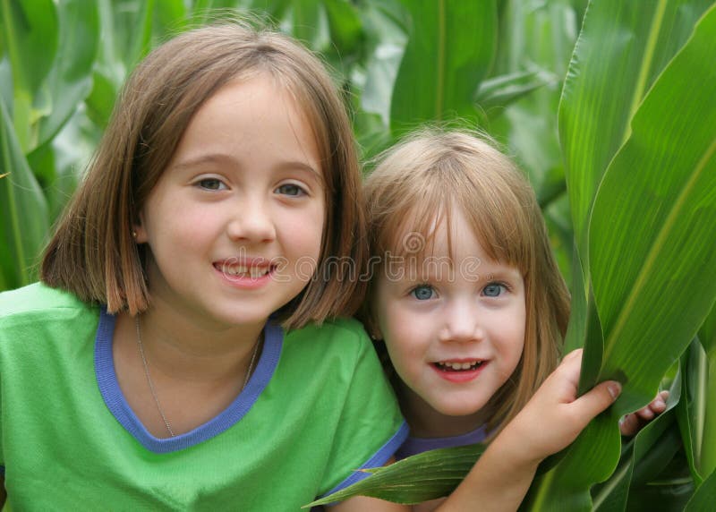 Fun In The Corn Field Picture. Image: 5527609