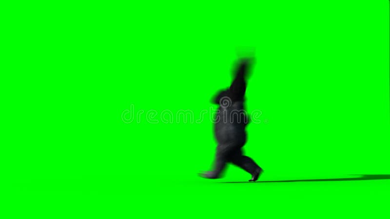 Fun Dancing Gorilla. Realistic Fur. Green Screen Animation. Stock Video ...