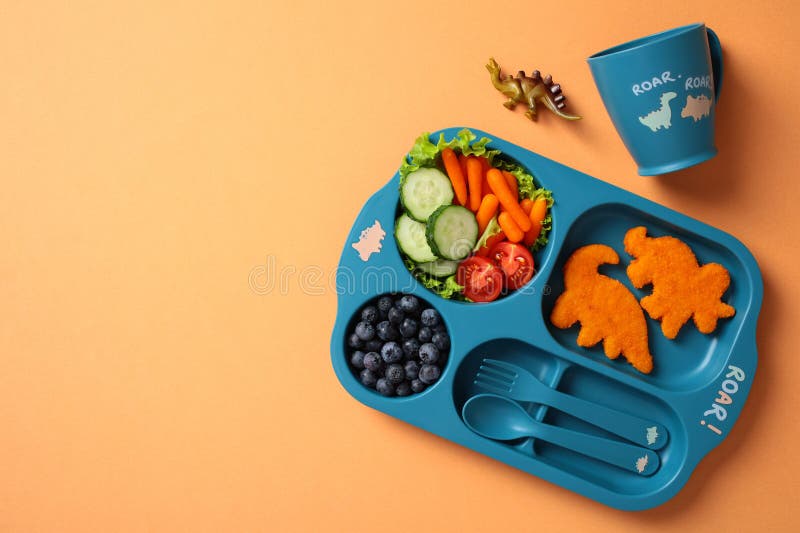 Fun Dinosaur Divided Plate with Healthy Kid S Lunch. Flat Lay, Top View ...