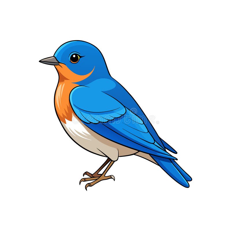 Bluebird Coloring Activity Stock Illustrations – 7 Bluebird Coloring ...
