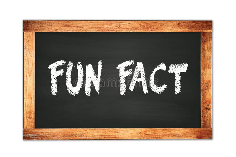 FUN FACT Text Written on Wooden Frame School Blackboard Stock ...