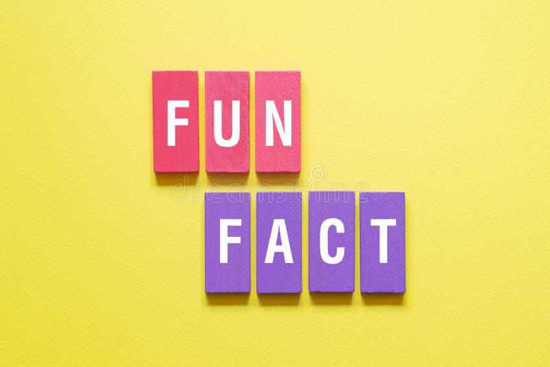 Fun Fact - Word Concept on Building Blocks, Text Stock Image - Image of ...
