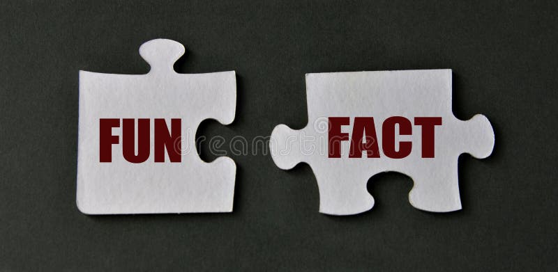 FUN, FACT - Words on Mosaic Details on a Dark Background Stock Photo ...