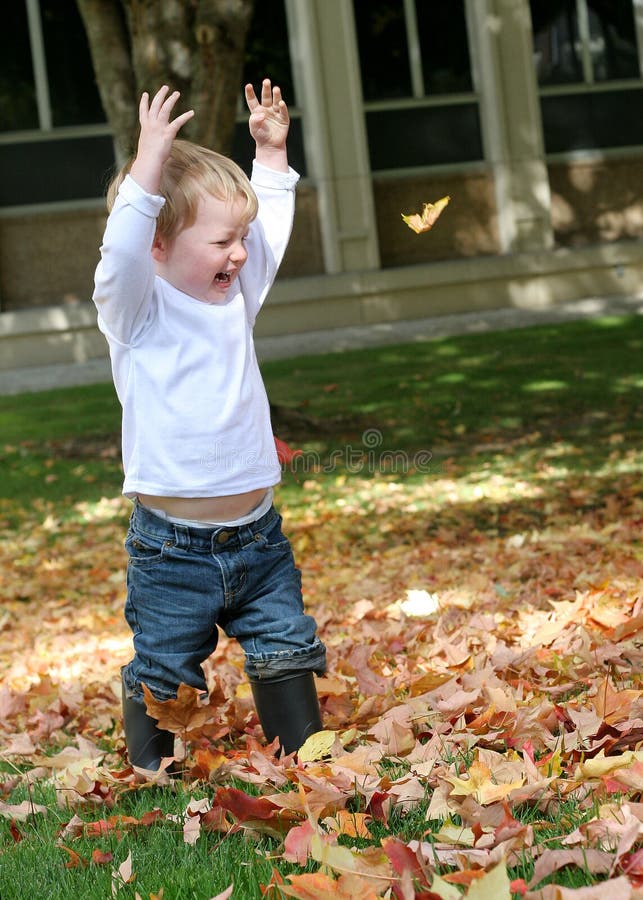 Fun fall leaves stock image. Image of outside, child, small - 1331071