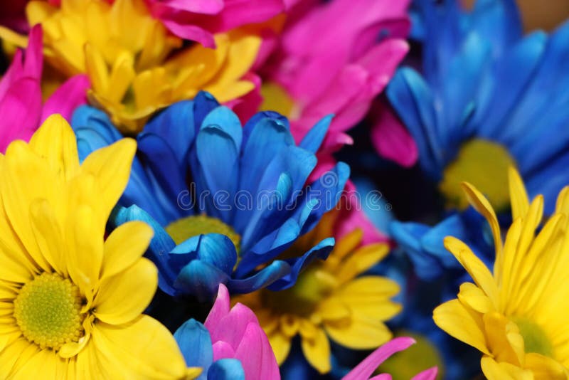 (Luisamay) - Contributor Profile on Dreamstime