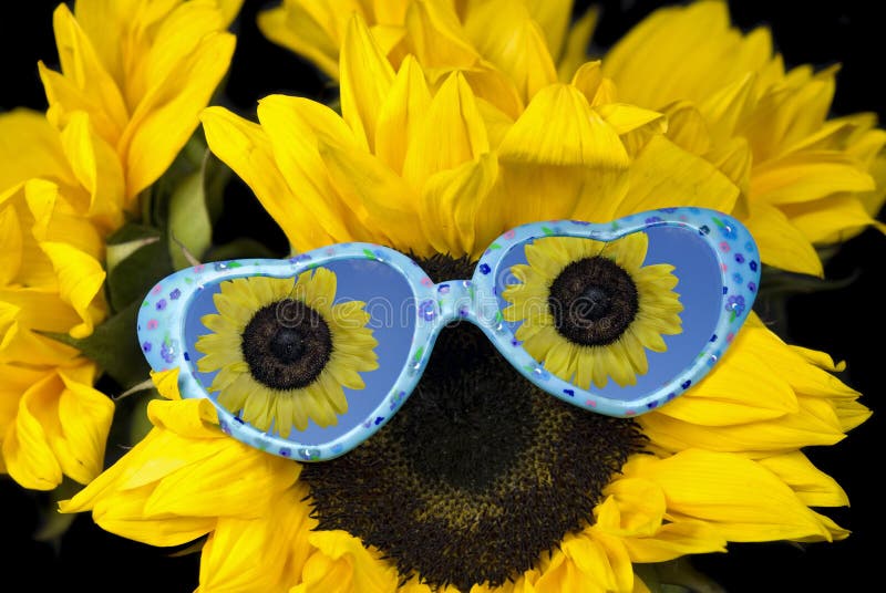 Fun Glasses stock photo. Image of sunglasses, style, frame - 15558948