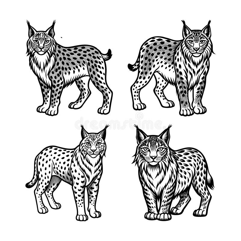 Fun Eurasian Lynx Linocut Arts Page Stock Vector - Illustration of wild ...