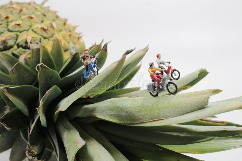 A Fun of Mini Figure Ride the Motorbike on Pineapple Stock Image ...