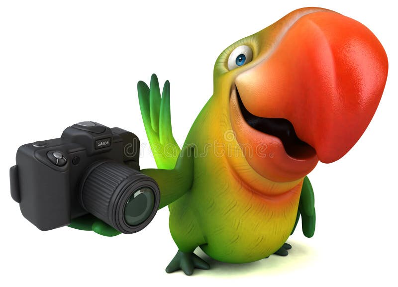 Fun parrot stock illustration. Illustration of smile - 71892194
