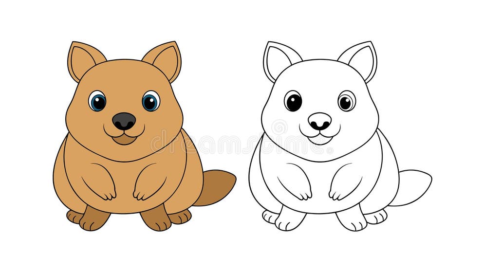 Fun Quokka Coloring Activity Stock Photo - Image of kids, little: 368509088
