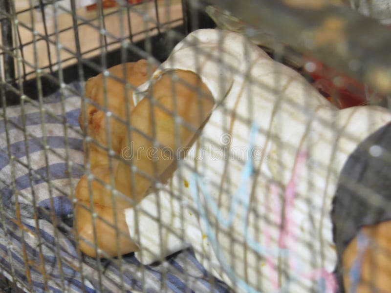 The Fun of Scale Model, Fun Figure World 30 March 2013 Editorial Photo ...