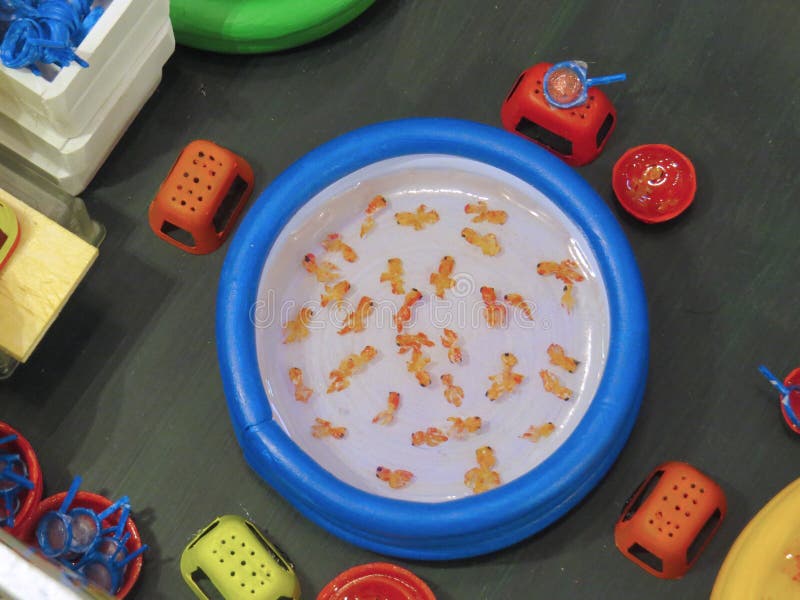 The Fun of Scale Model, Fun Figure World 30 March 2013 Editorial Image ...