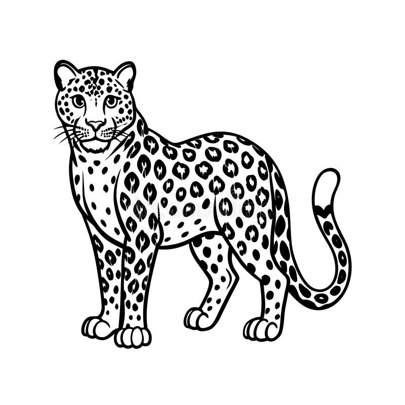 Fun Snow Leopard Linocut Arts Illustration for Kids Stock Illustration ...