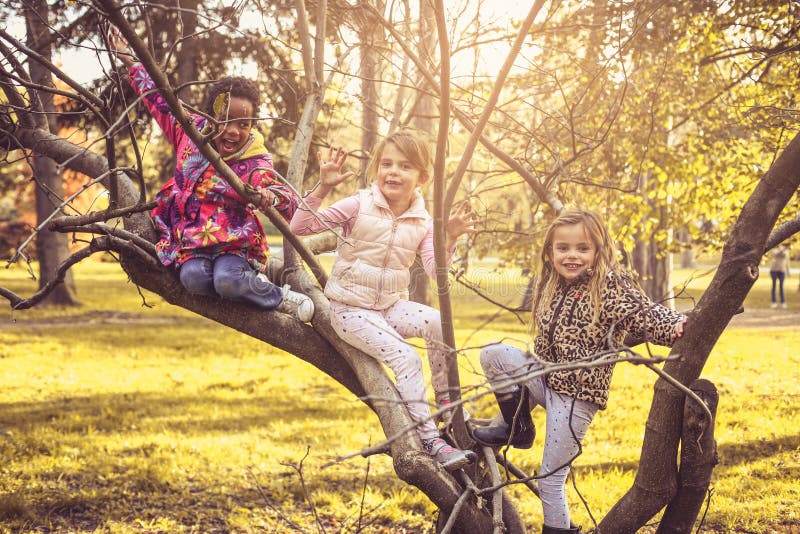 Fun on Tree. Kids in Nature. Stock Image - Image of arms, adventure ...