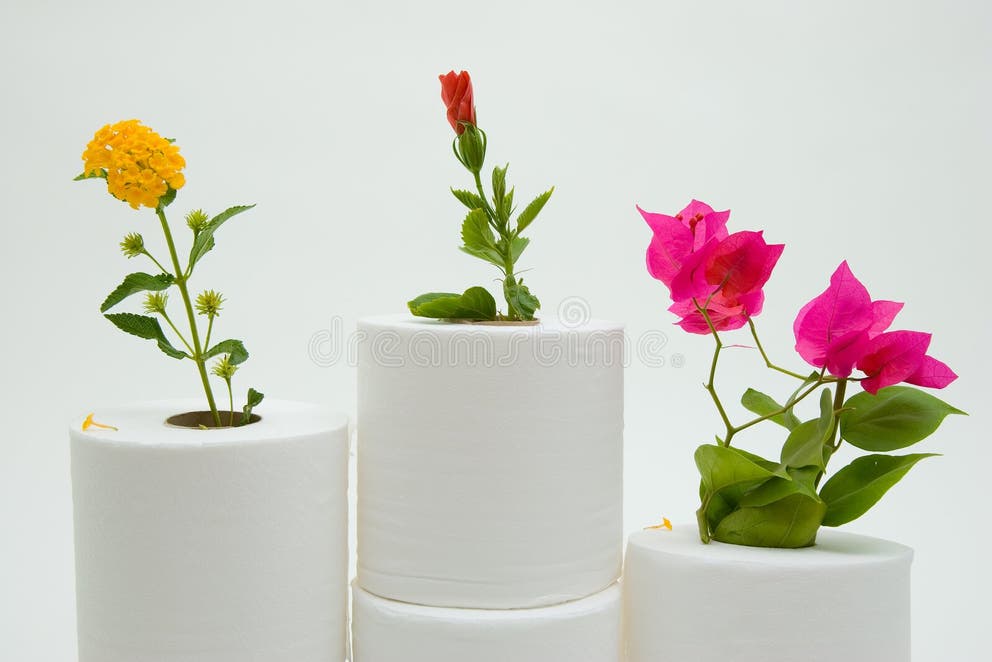 Fun with utility stock image. Image of sanitary, wellness - 978687