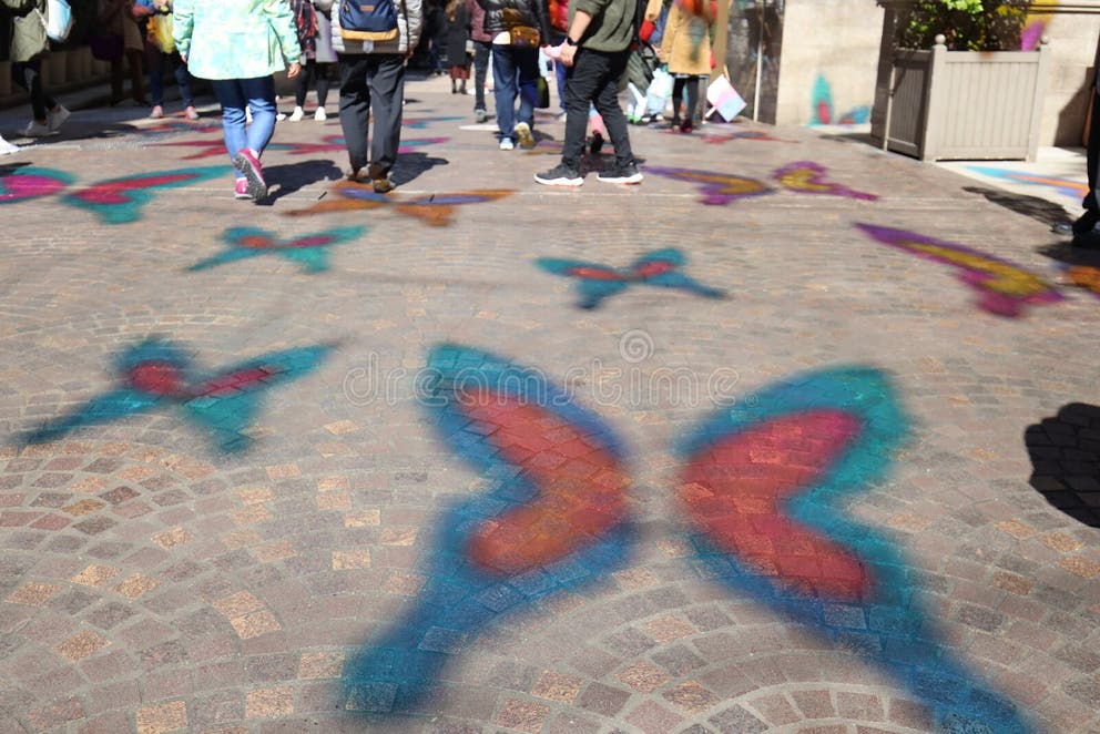 The Fun of Visual Effect at the Color Shadow 1 Jan 2021 Editorial ...