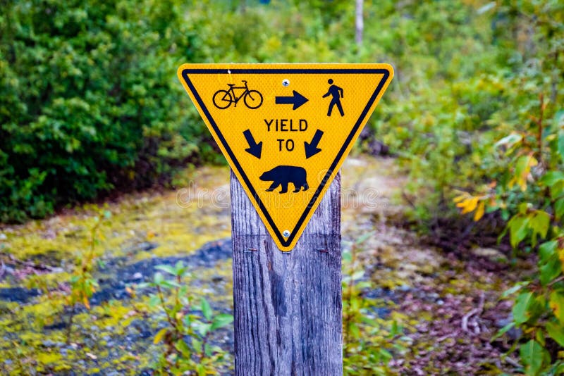 Fun Yield To Bears Sign Warning on Trail Stock Photo - Image of symbol ...