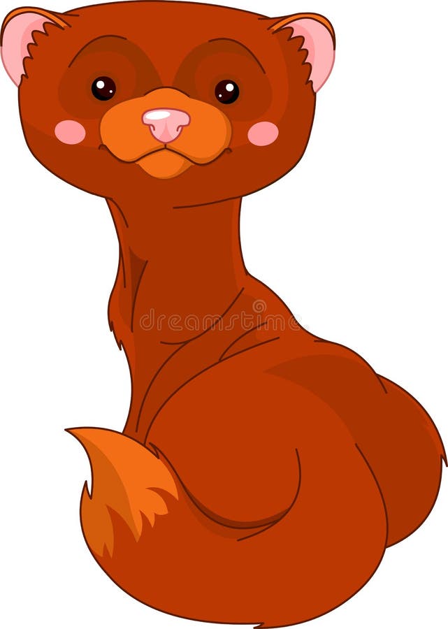 Cute Mink stock vector. Illustration of species, cute - 34769344