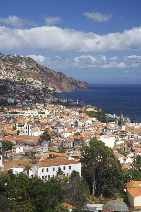 Funchal stock photo. Image of harbour, crag, fish, boat - 11630850
