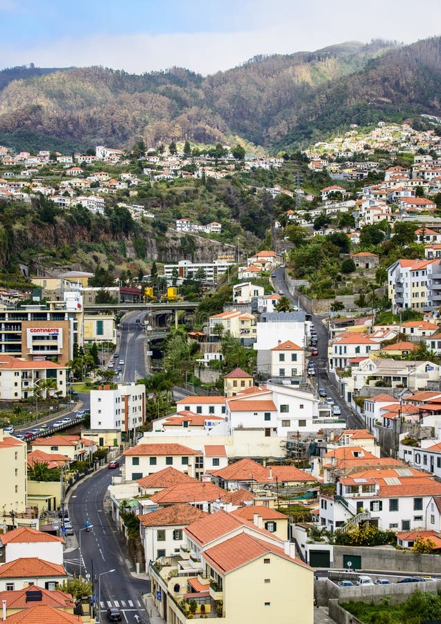 Funchal in Madeira editorial image. Image of tree, neighbourhood - 51420140