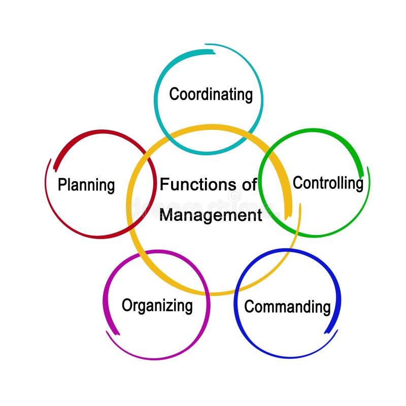 Funci?n de la gesti?n stock de ilustración. Ilustración de cinco ...