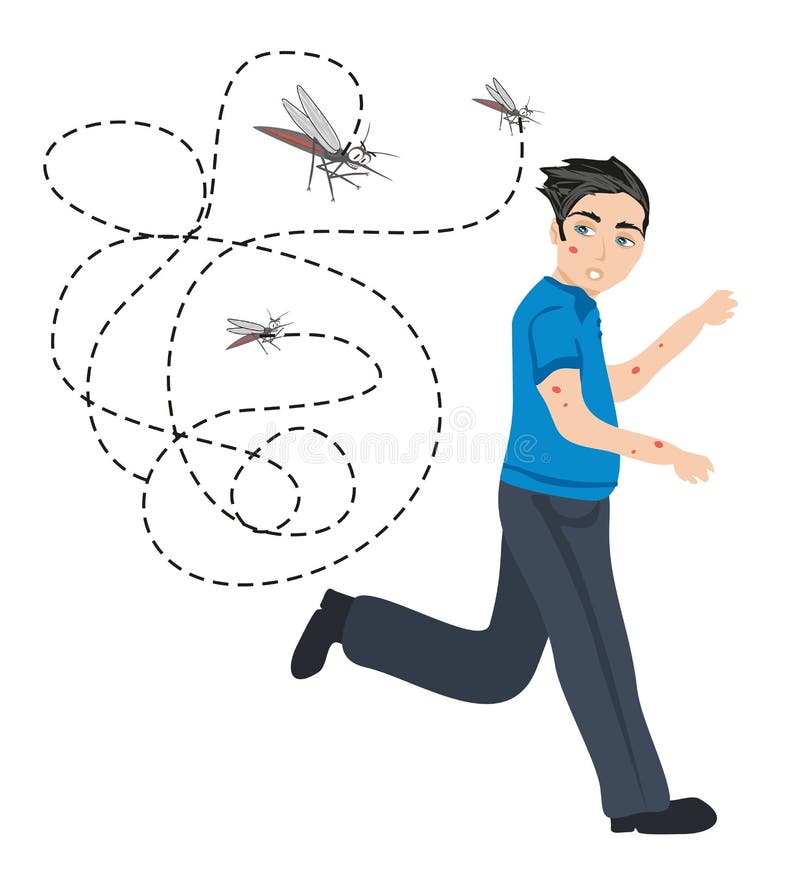 El Mosquito Se Aleja Del Humo De La Bobina Repelente De Mosquitos En El ...