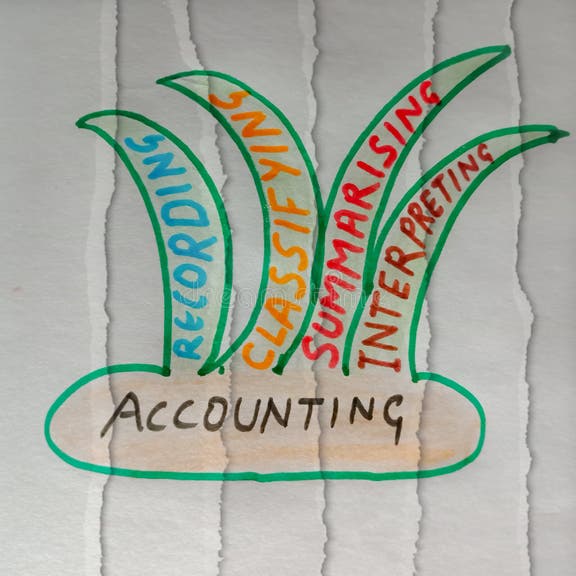 Function of Accounting Displayed on Plant Diagram Stock Image - Image ...