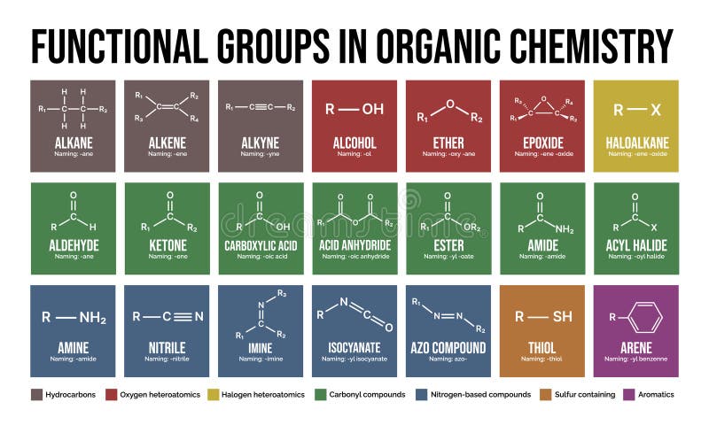 Amido Functional Group Amido Functional Group