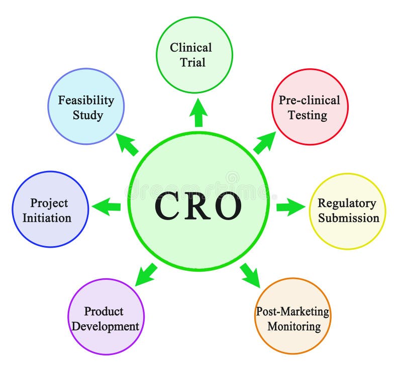 Functions of Contract Research Organization Stock Illustration ...