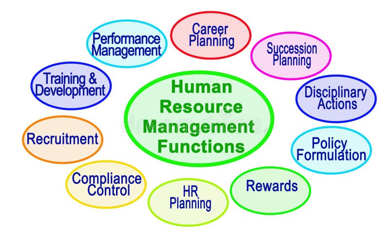 Human Resource Management stock image. Image of succession - 262538445 Human Resource Management stock image. Image of succession - 262538445