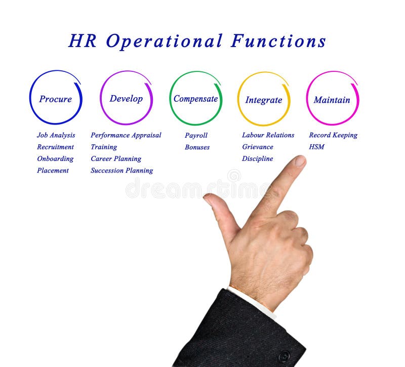 Functions of Human Resources Stock Image - Image of payroll, integrate ...