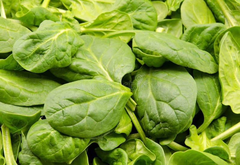 Vegetables fresh spinach stock photo. Image of healthy - 259117508