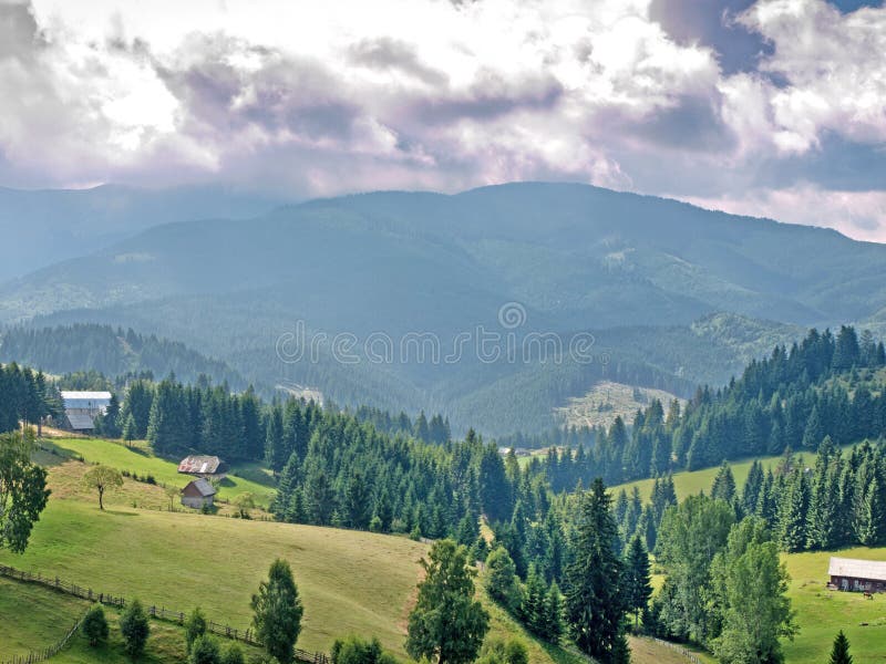 Fundatica foto de archivo. Imagen de hierba, planta, cortijo - 34402546