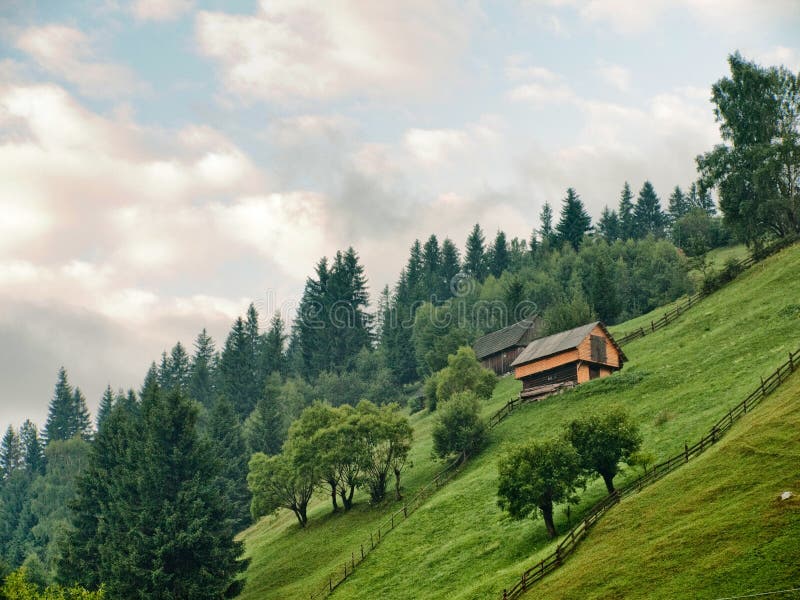 Fundatica imagen de archivo. Imagen de verde, planta - 34961937