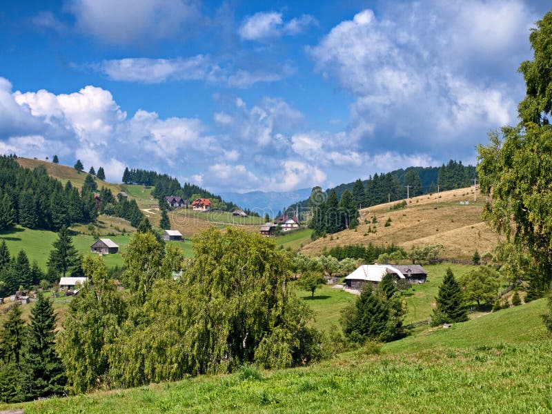 Fundatica imagen de archivo. Imagen de planta, verde - 35139067
