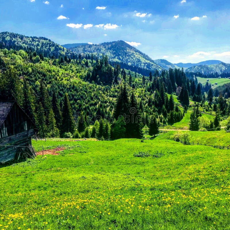 Fundatica Stock Photos - Free & Royalty-Free Stock Photos from Dreamstime