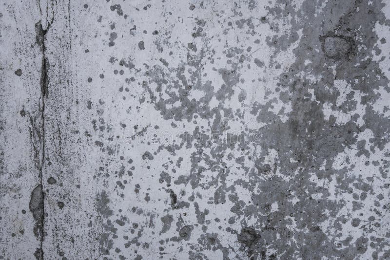 Fundo Cinzento Neutro Textura Do Grunge Do Muro De Cimento Imagem De