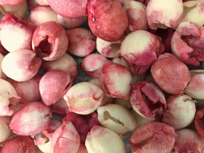 Fundo Cor-de-rosa Da Cor Do Tamarindo De Manila Imagem de Stock ...