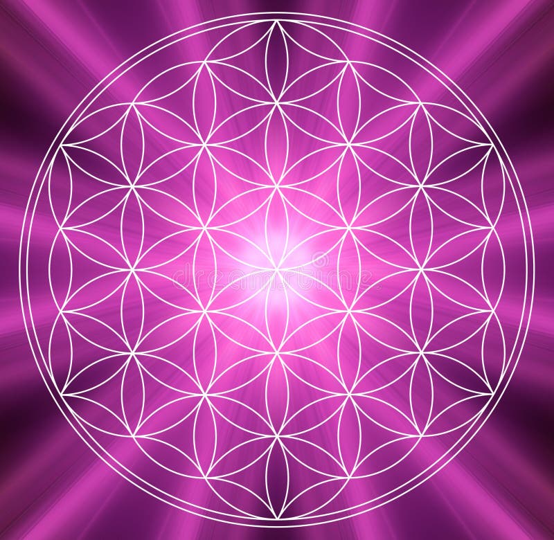 Fundo da flor da vida ilustração stock. Ilustração de vida - 115707155