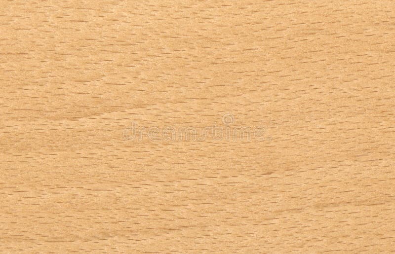 Fundo da madeira de faia imagem de stock. Imagem de faia - 2419009