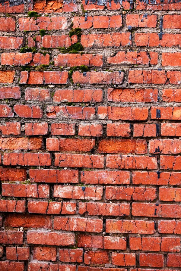 Fundo da parede foto de stock. Imagem de foto, fundo - 11536238