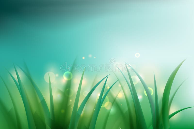 Fundo Da Primavera Com Luz Matinal Ilustração Stock - Ilustração de ...