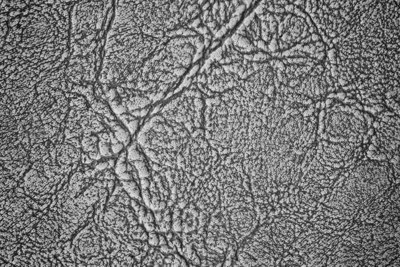 Quadro Indicador De Couro Do Sofá Que Pendura Nas Correntes Isoladas ...