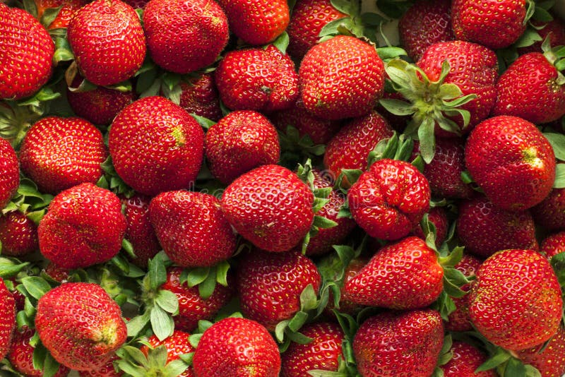 Fundo De Morangos. Morango. Pano De Fundo Alimentar Foto de Stock ...