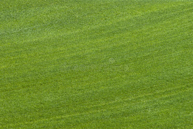 Fundo de relva imagem de stock. Imagem de prado, futebol - 249788689