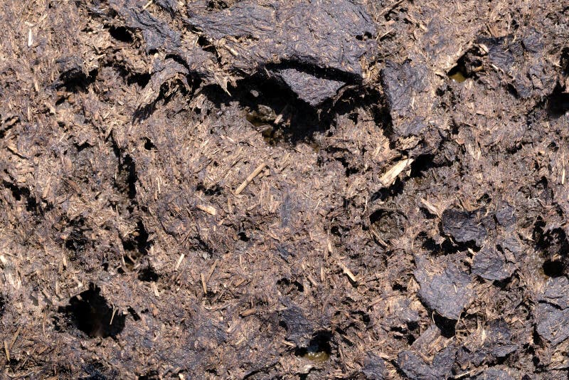 Fundo De Textura Das Fezes De Estrume Imagem de Stock - Imagem de ...