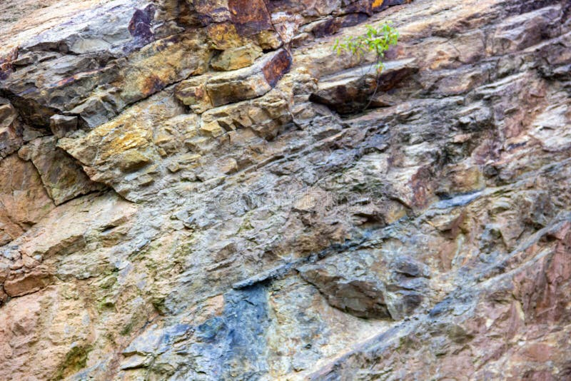 Fundo De Textura De Parede Terrestre Numa Colina Dragada Imagem de ...