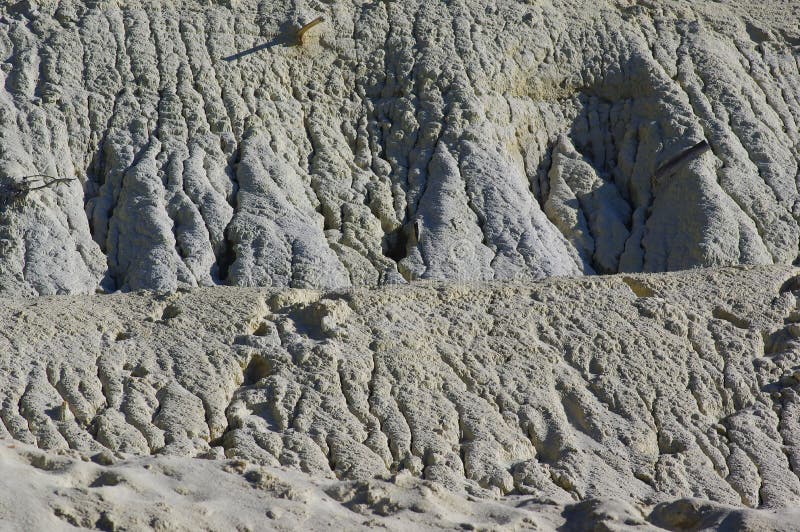 503 Caulim Fotos - Fotos de Stock Gratuitas e Fotos Royalty-Free Dreamstime