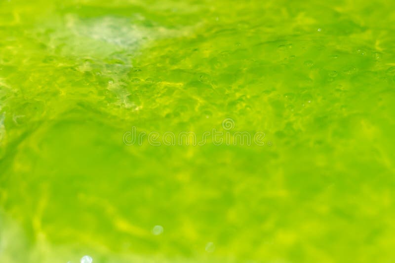 Fundo Do Lodo Verde Transparente Com Bolhas De Ar Imagem de Stock ...